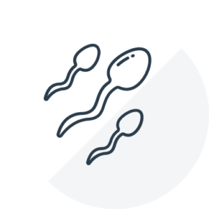 Understanding Fertility – Life IVF Center