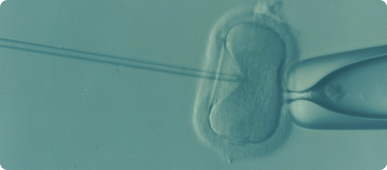 Meet Life IVF – Life IVF Center